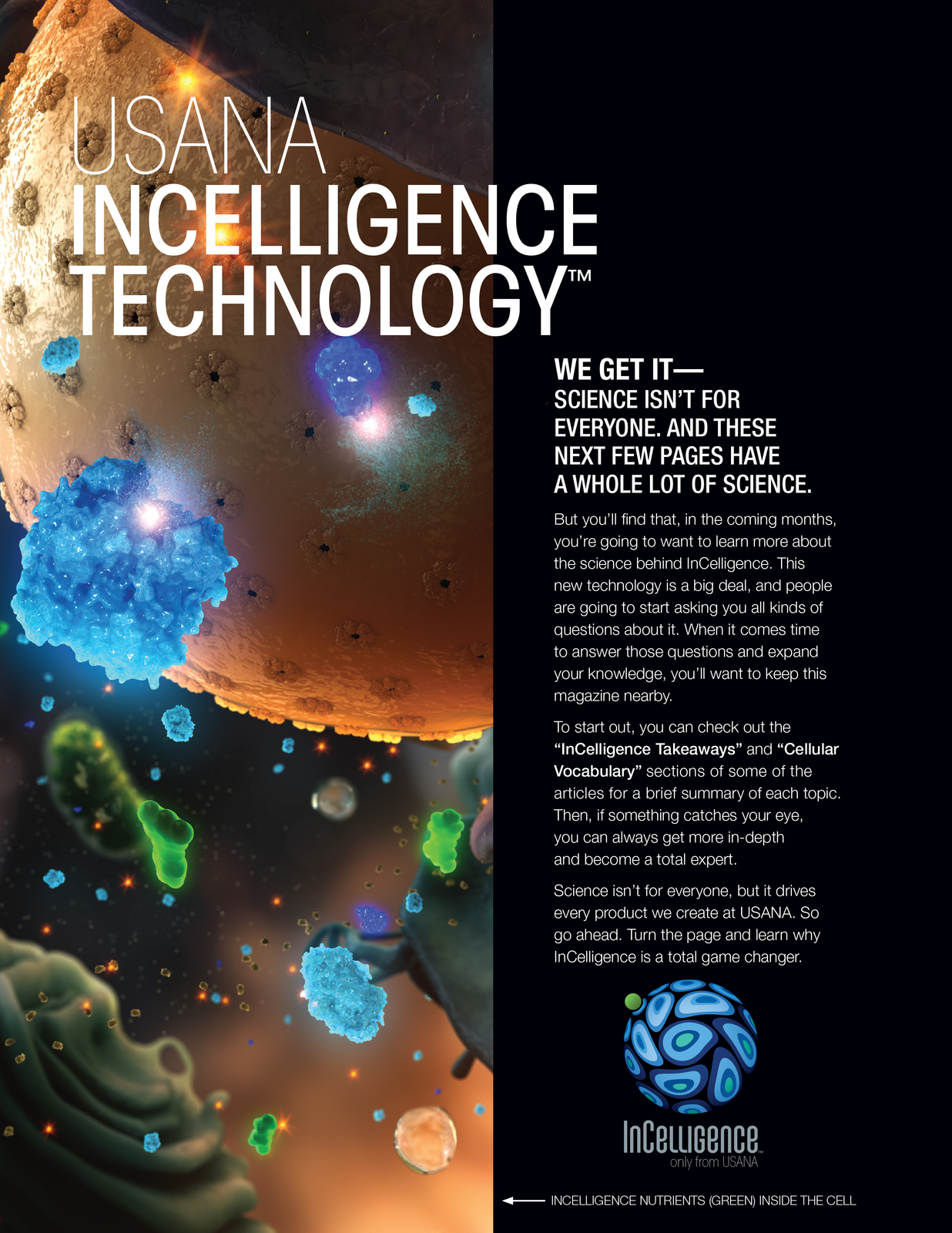 Everything to Know About InCelligence (Magazine)